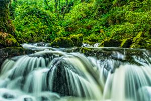 Golitha Falls and Nature Reserve, Bodmin Moor | Photos & Visiting ...