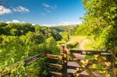 Tarr Steps, Exmoor | History, Beautiful Photos, & Visiting Information