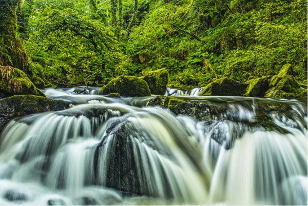 Golitha Falls, Cornwall, Canvas Prints & Framed Prints
