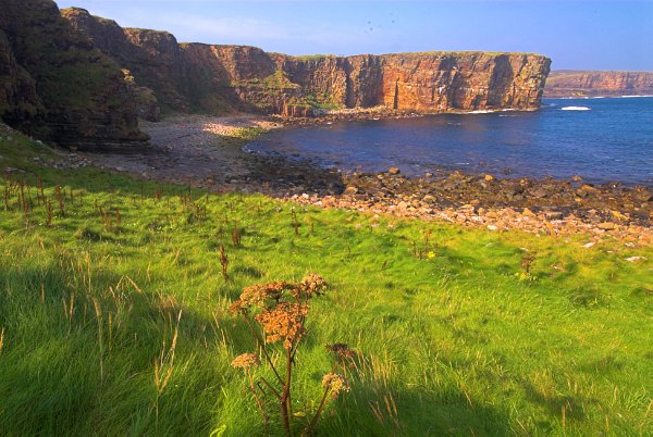 Mull of Deerness | Orkney Islands Photo Gallery